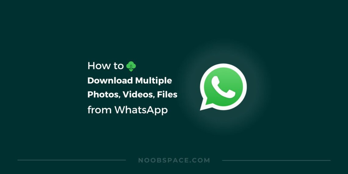 How To Download Multiple Files From WhatsApp Web (FAST) 2026