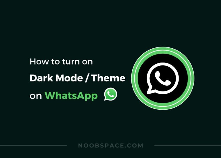 Adjust WhatsApp Font Size: Increase Or Decrease In 2023 | NoobSpace