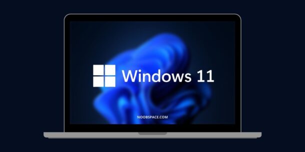 Download All Windows 11 Wallpapers in 4K | NoobSpace