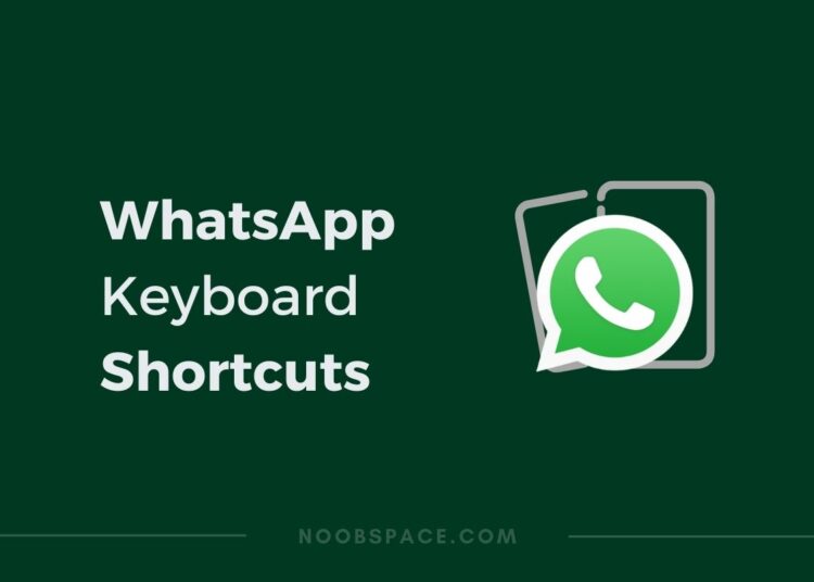 How To Download Multiple Files on WhatsApp Web | noobspace